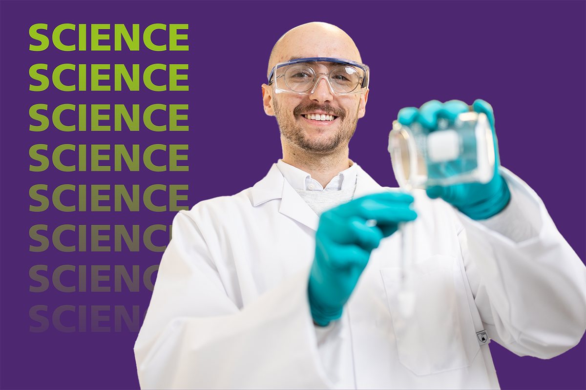 Graduate Programme – Evolve – AWE