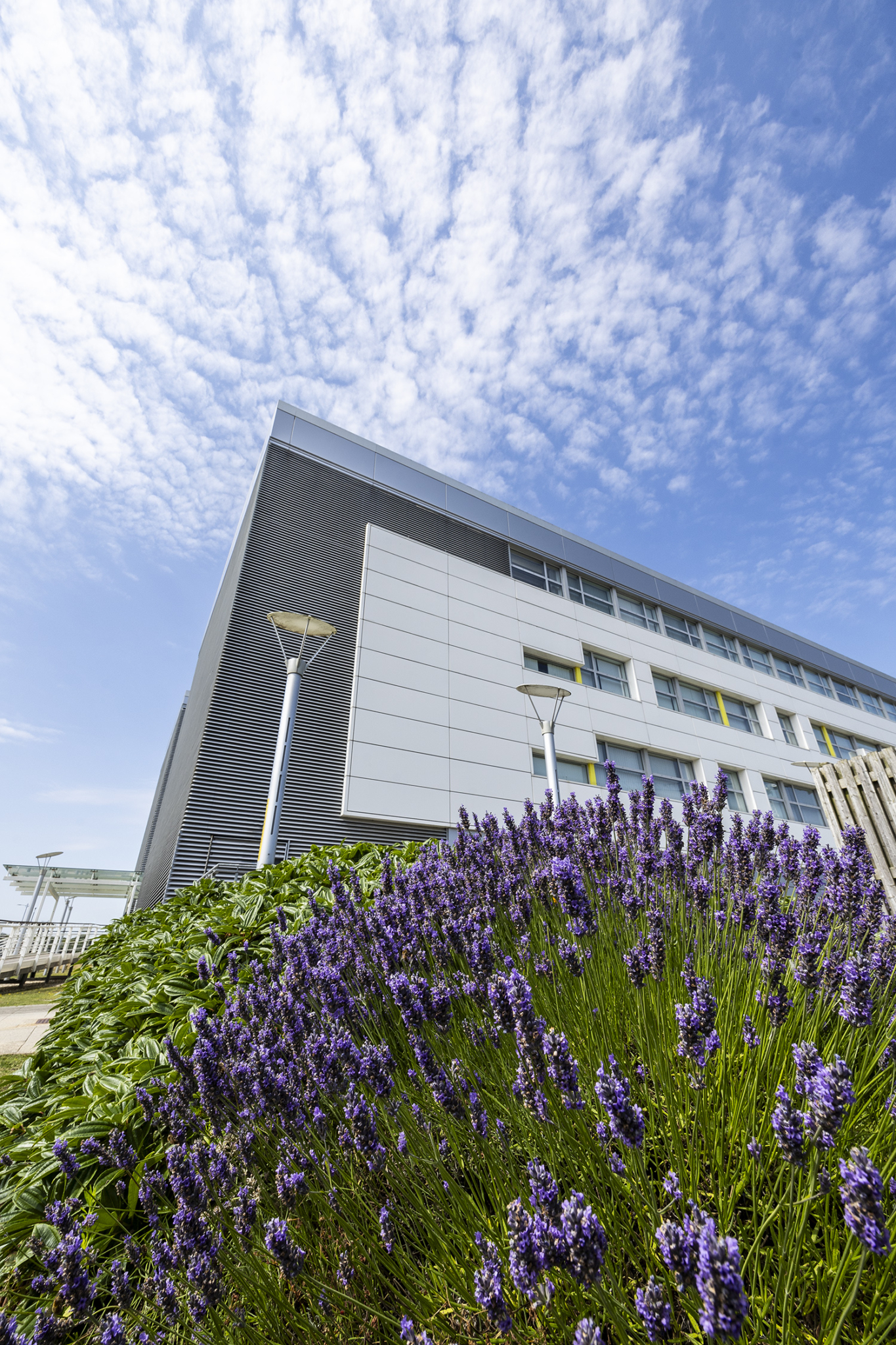 Defence STEM Undergraduate Sponsorship (DSUS) Scheme – AWE